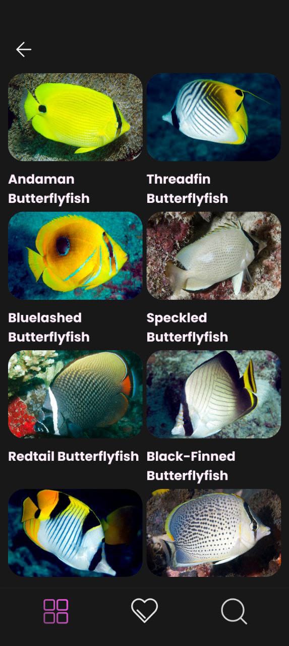 Maldivian Fish Guide – Reef ID Books: photo guides about marine animals
