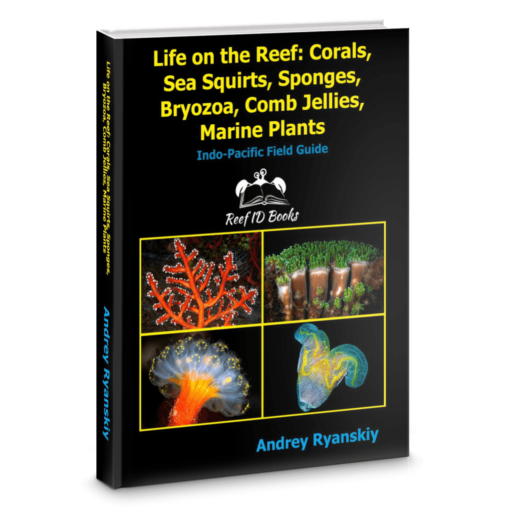 Coral reef identification guide - Life on the Reef