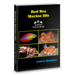 Free Red Sea Fish Guide – Sample PDF