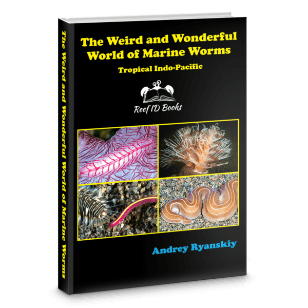 The Weird and Wonderful World of Marine Worms - Understanding Oceans
