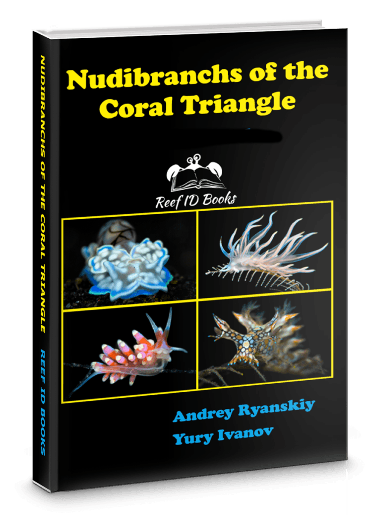 Nudibranchs of the Coral Triangle - A nudibranch field guide
