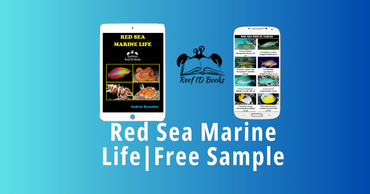 Free Red Sea Fish Guide – Sample PDF