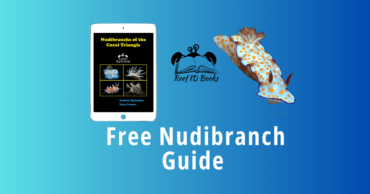 Free Nudibranch Guide (PDF Sample) | Reef ID Books